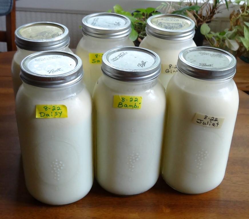 Healthyway Dairy has lots of Real Milk! – Real Food Houston